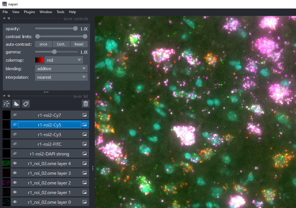 Napari fails to display ome.tiff created from qupath - Usage & Issues - Image.sc Forum