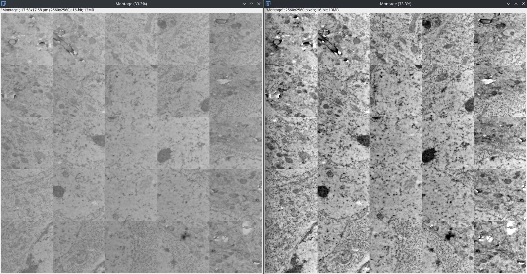 Histogram Equalization and Normalization + Intensity matching in TrakEm2 - Image Analysis ...