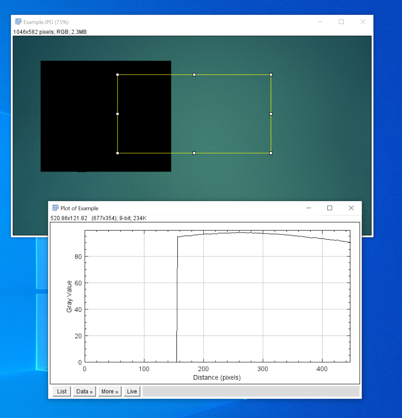 Plot profile area selection - Image Analysis - Image.sc Forum