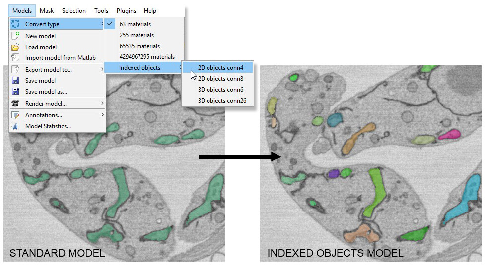 Microscopy Image Browser update to 2.82 - Announcements - Image.sc Forum