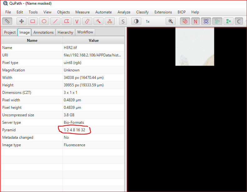 I Have A Problem Opening The Slide With Tiff Extension Usage And Issues Image Sc Forum