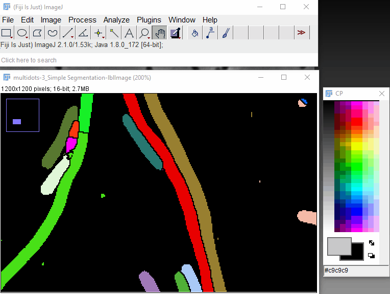 Editing labels in ImageJ - Image Analysis - Image.sc Forum