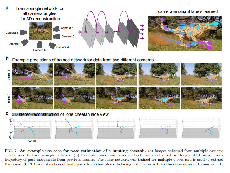 3D stereo-reconstruction - Image Analysis - Image.sc Forum