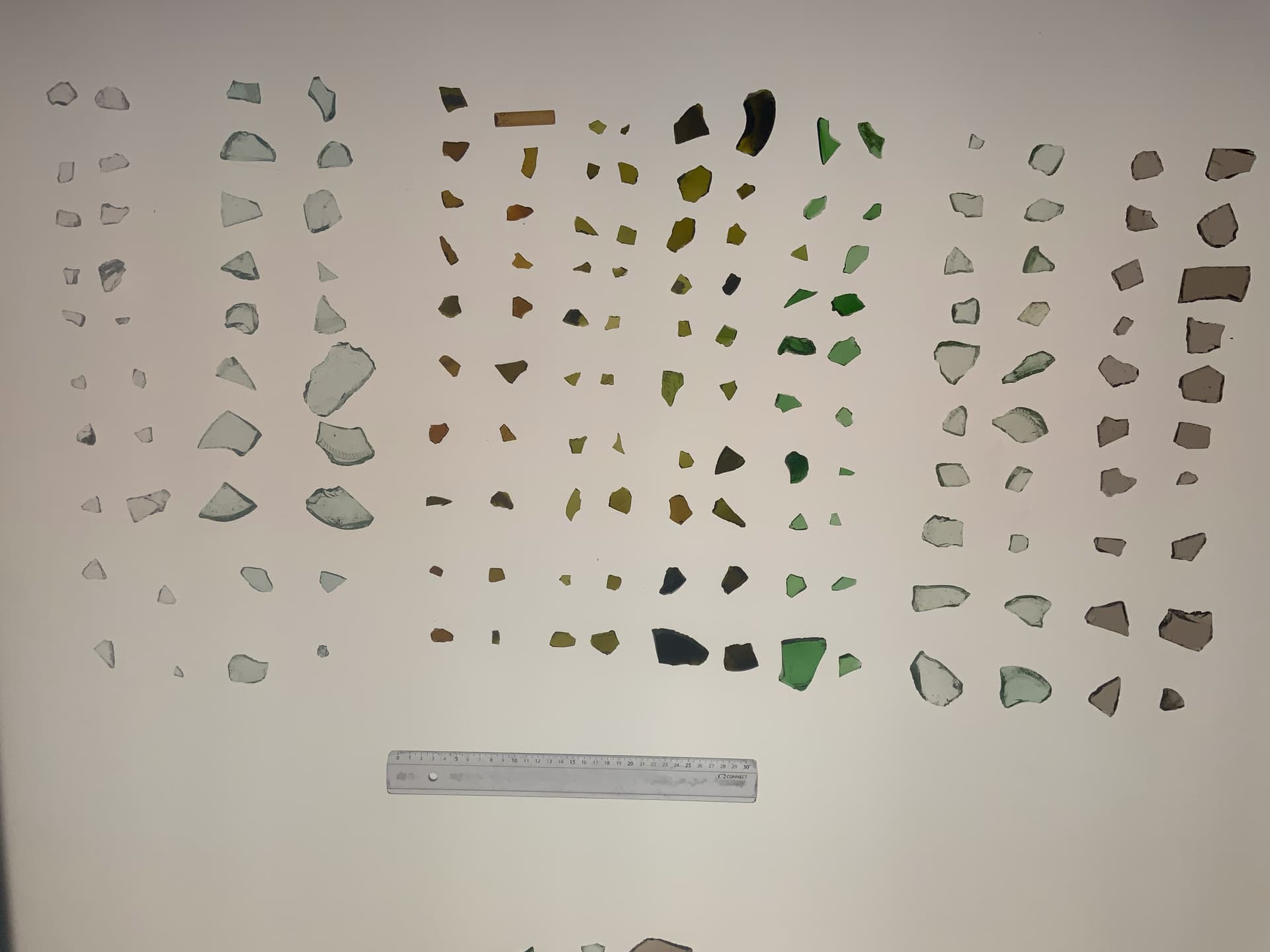 Segmentation, Classification and Counting - Image Analysis - Image.sc Forum