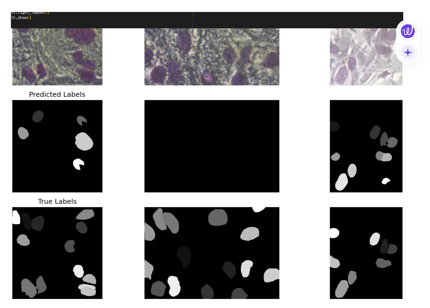 Cellpose training model issue - Image Analysis - Image.sc Forum