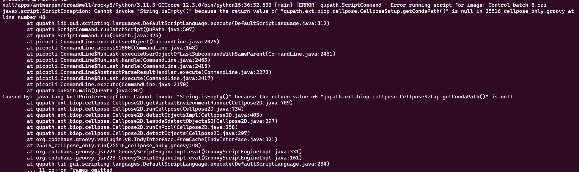 QuPath and the QuPath Cellpose/Omnipose extensionon on HPC headless / cli-only setup struggling ...