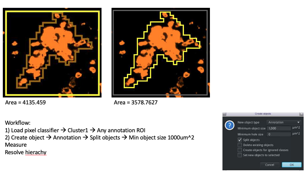 QuPath Pixel Classification not making sense - Image Analysis - Image.sc Forum