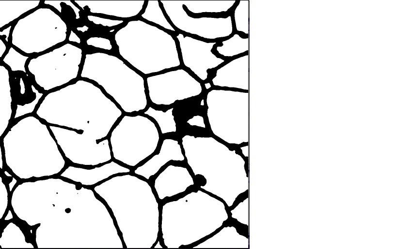 Error In Pixel Classification Result Usage And Issues Imagesc Forum