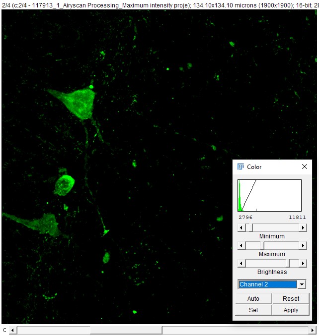 Bio-formats importer opening images with wrong color balance/intensities - Image Analysis ...