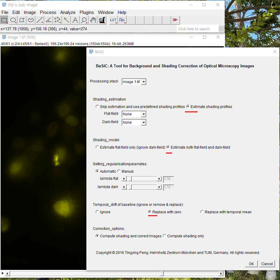 Fiji plugin BaSiC "input must be an image stack not a single image" error - Usage & Issues ...