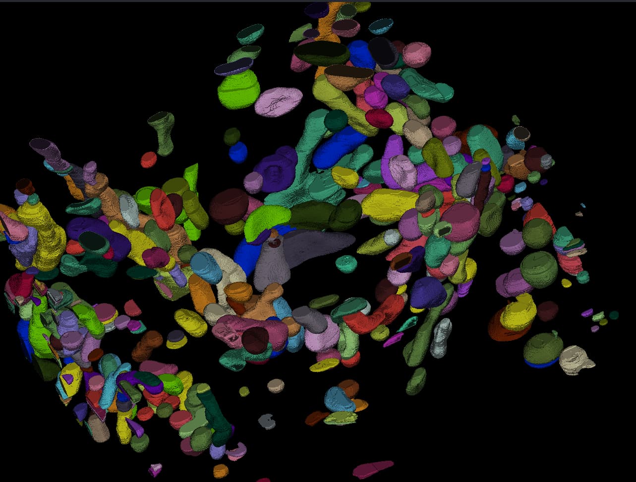 microSAM news feed - Announcements - Image.sc Forum