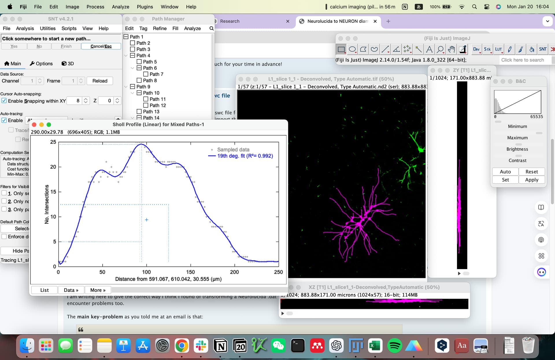 XYZ correction for swc file during 3D sholl analysis with SNT - Image Analysis - Image.sc Forum