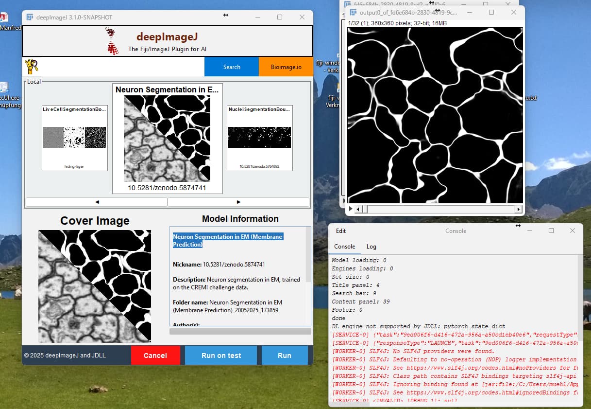 Which version of DeepImageJ to use? - Usage & Issues - Image.sc Forum