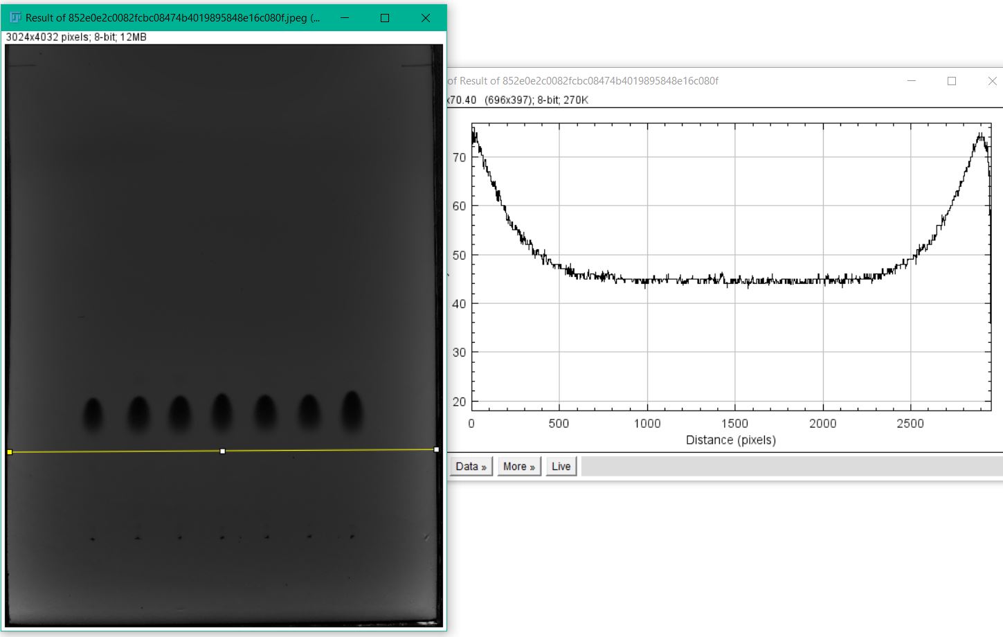 Uneven Lighting in Intensity Measurements - Image Analysis - Image.sc Forum