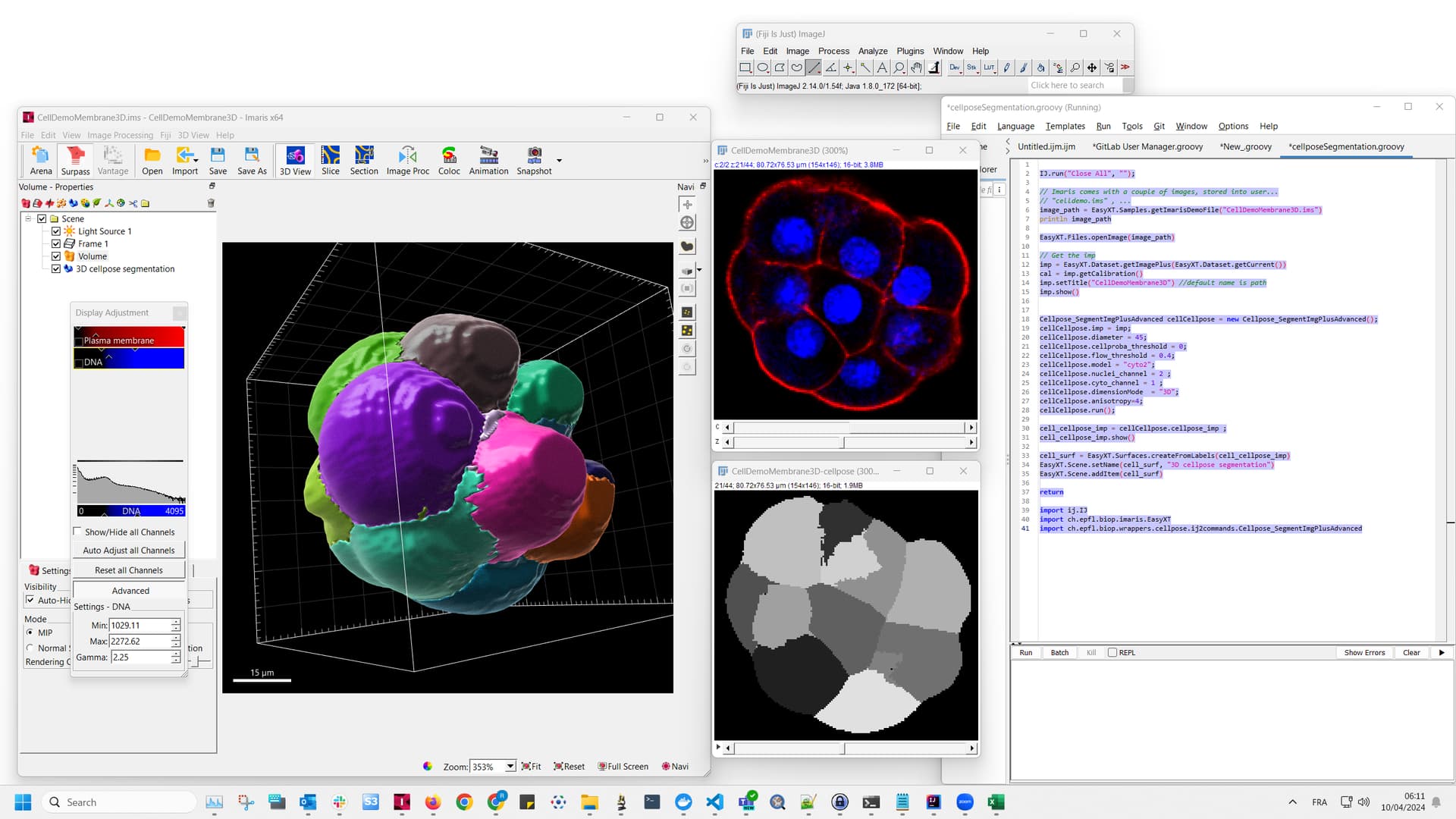 Imaris and cellpose - Image Analysis - Image.sc Forum