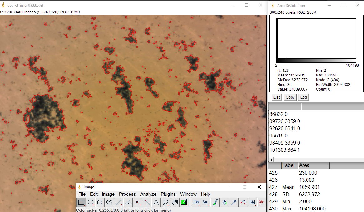 Imagej analyze aggregate - Image Analysis - Image.sc Forum