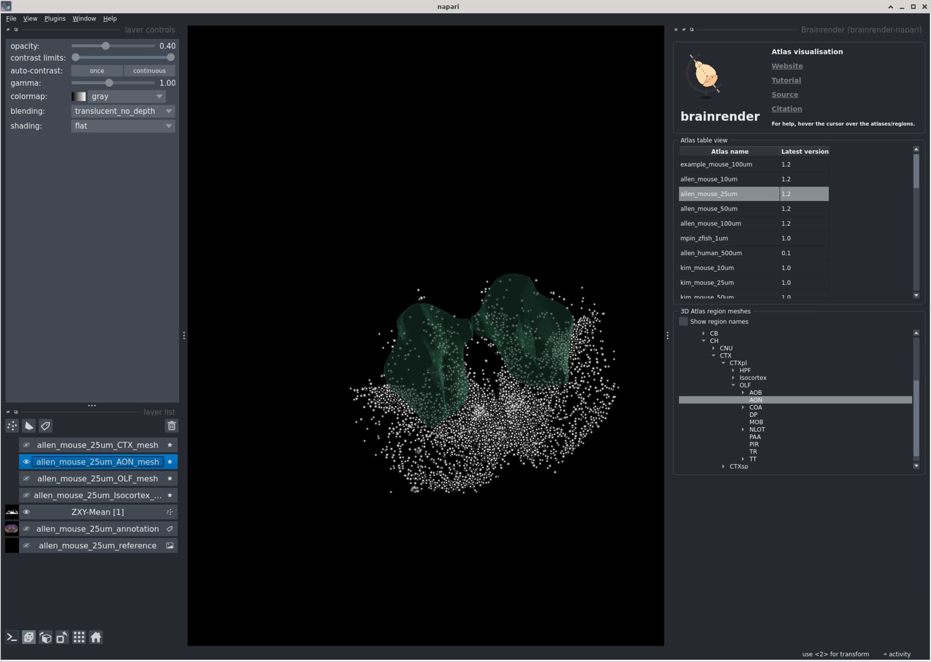 Napari points within a mesh - Image Analysis - Image.sc Forum