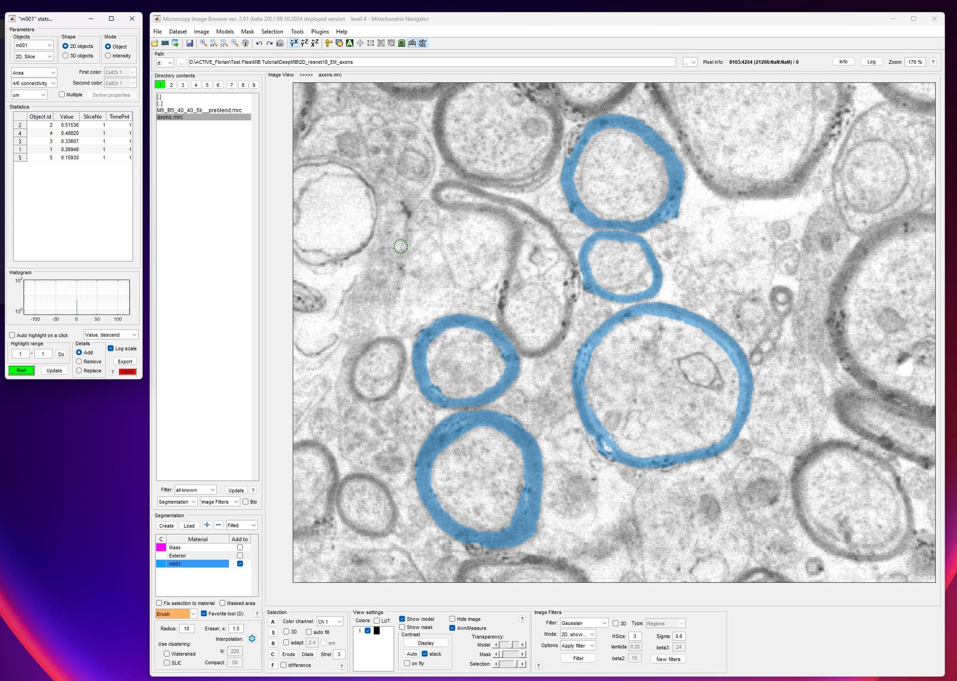 Calculating average thickness etc for segmented axons and myelin in MIB - Image Analysis - Image ...
