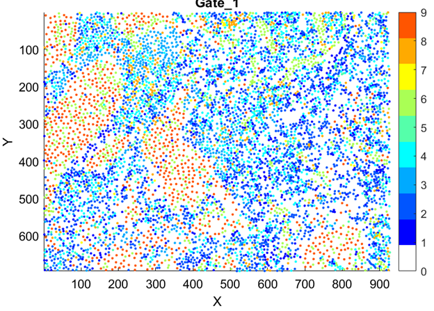 There and back again, QuPath CytoMAP cluster analysis - Image Analysis - Image.sc Forum