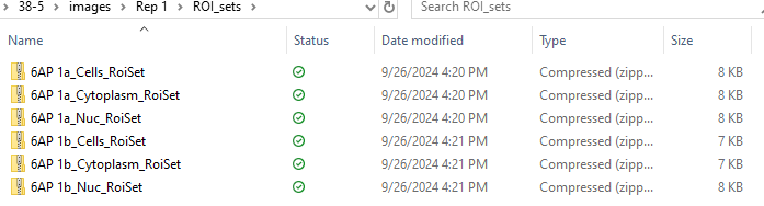 Patch processing ImageJ script for determining nucleus/cytoplasm ratio - Image Analysis - Image ...