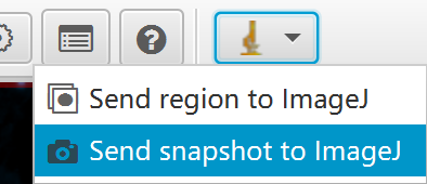 Exporting ROI from QuPath to ImageJ with raw Brightness/Contrast settings - Image Analysis ...