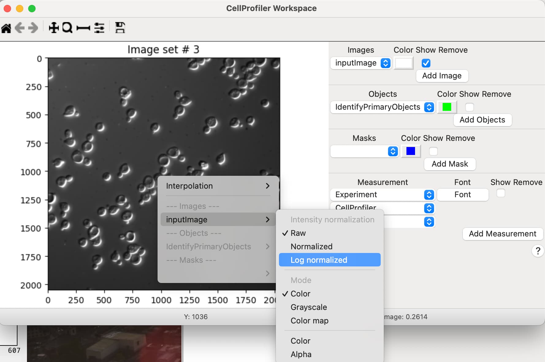 Optimizing segmentation, visualization, and large image processing ...