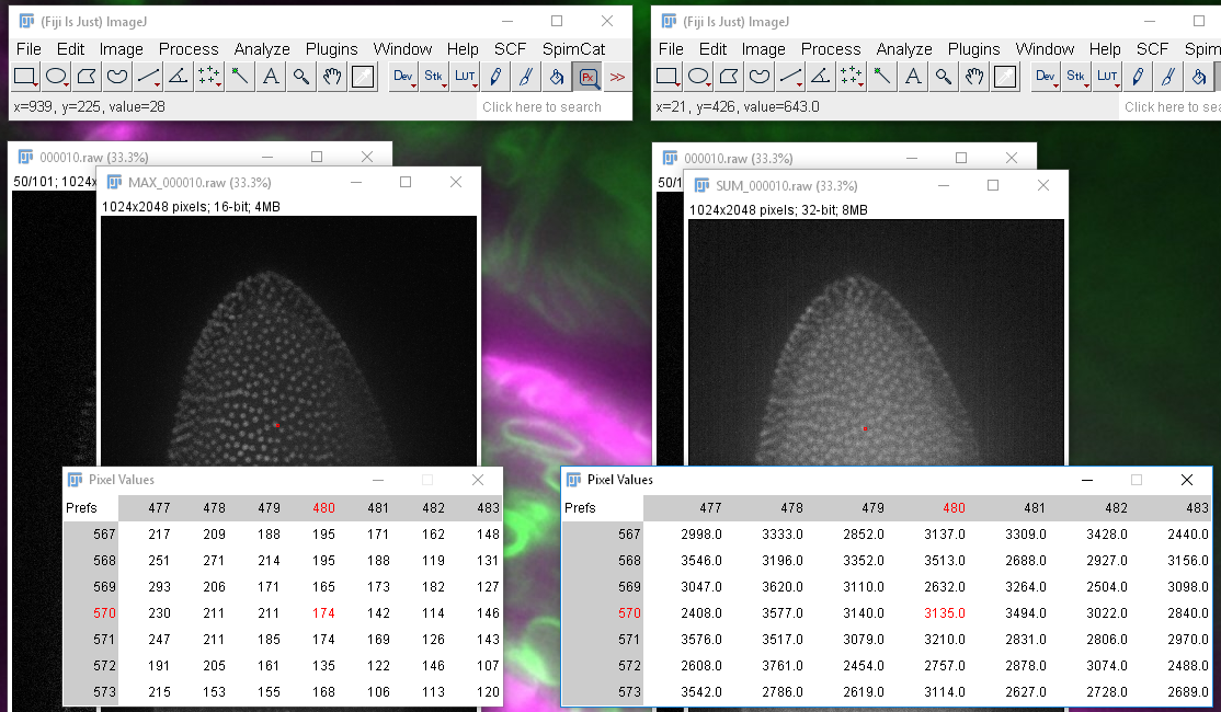Imagej Measuring Fluorescence Intensity Fluorescence Analysis With