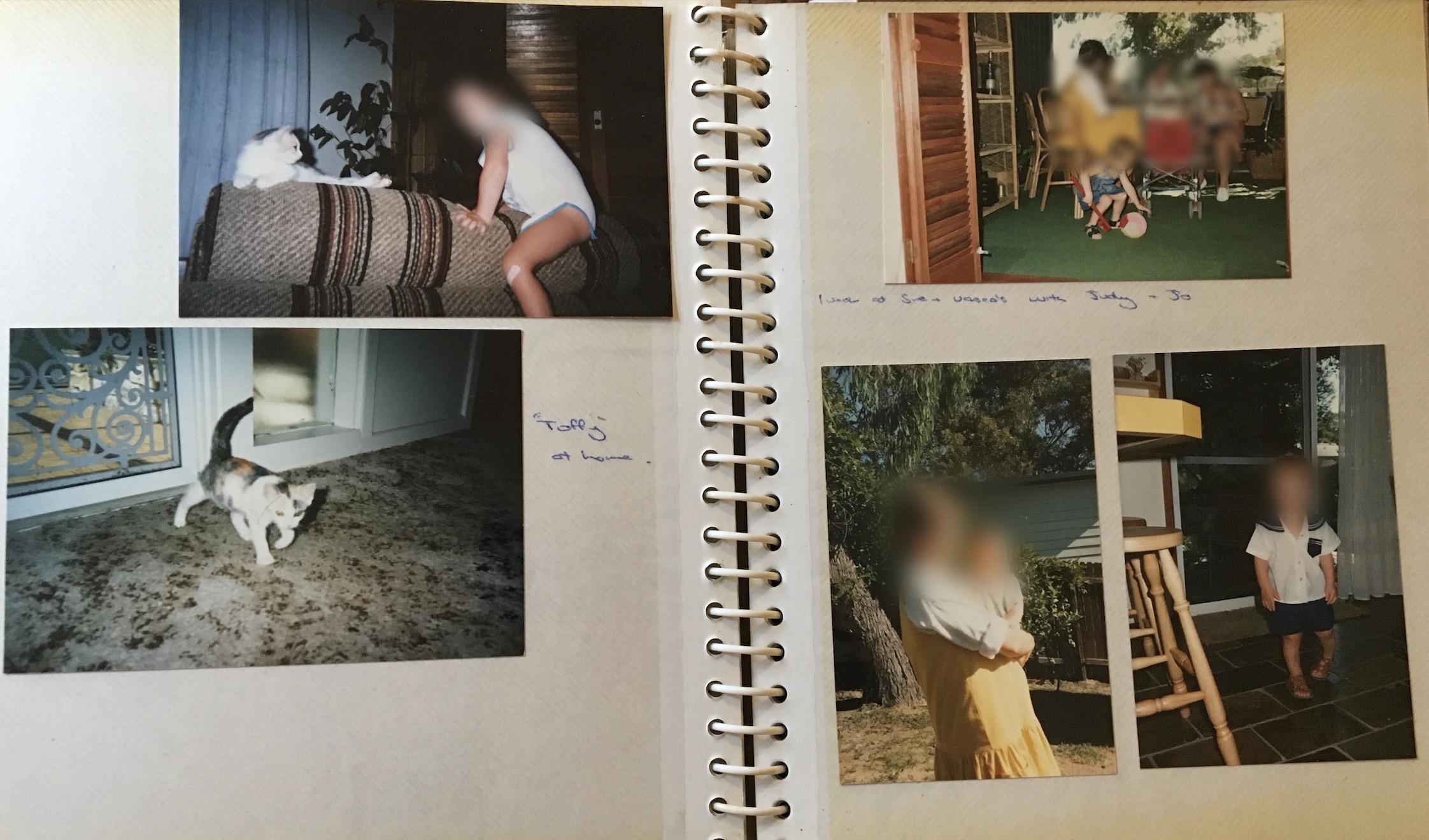 Extract multiple images from white background - Image Analysis - Image ...
