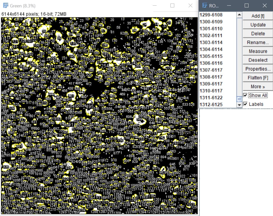 Is Gaussian-Blur and Thresholding good for counting cells? - Image Analysis - Image.sc Forum