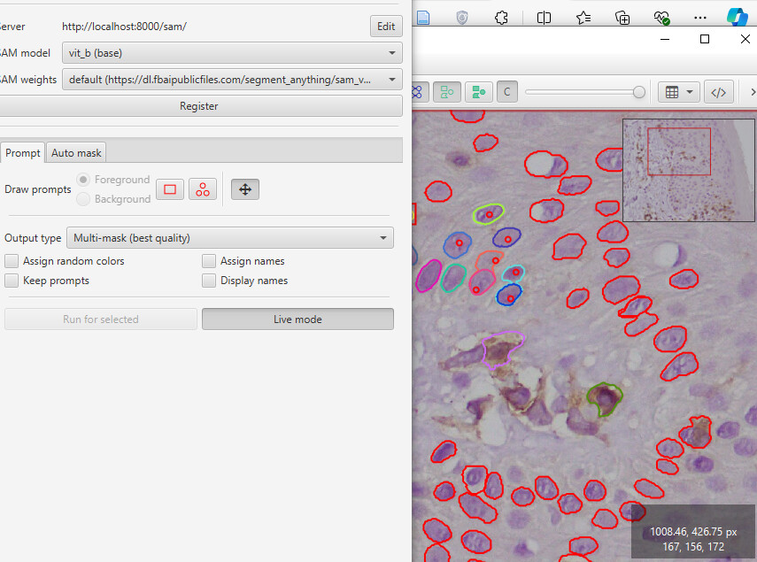 Problem with loading SAM in qupath - Image Analysis - Image.sc Forum