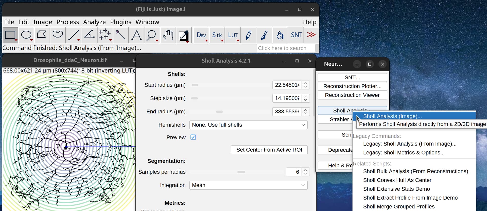 SNT: Can I apply Sholl analysis to a pre-binarized/skeletonized 3D image? - Usage & Issues ...