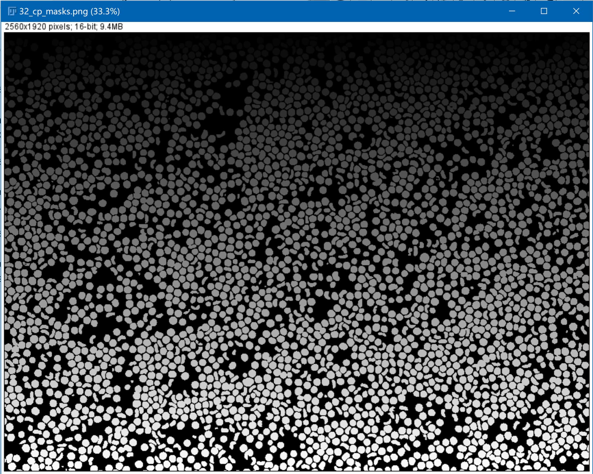 How to import cellpose masks into Fiji (ImageJ)? - Image Analysis - Image.sc Forum