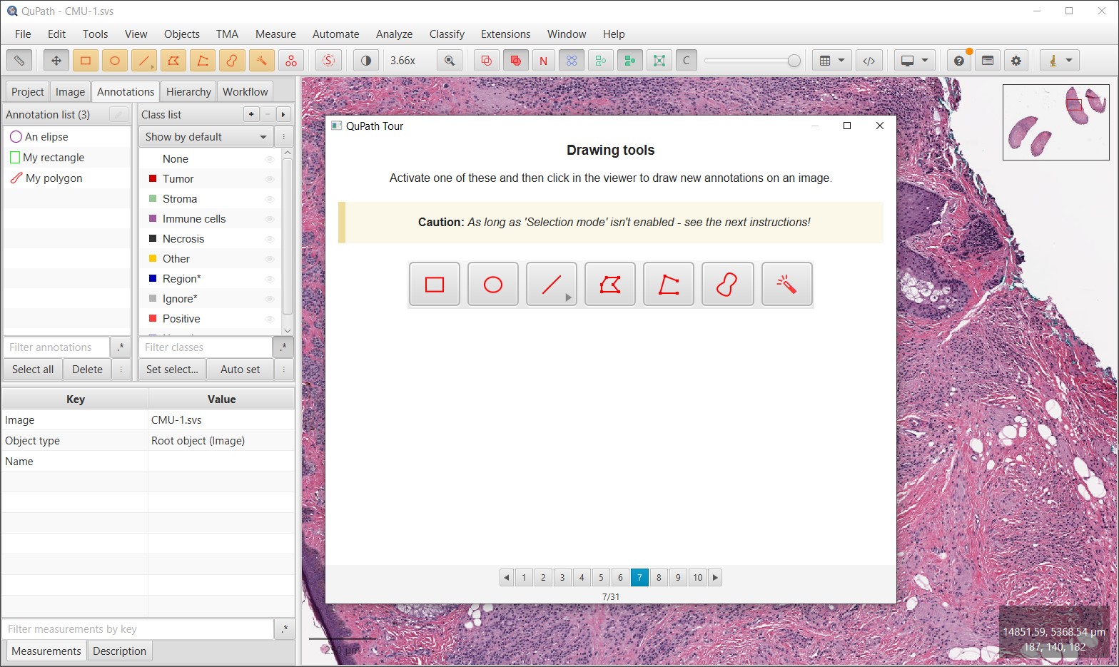 QuPath v0.6.0 now available 📢 - Announcements - Image.sc Forum