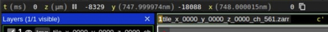 Neuroglancer new user help - Usage & Issues - Image.sc Forum