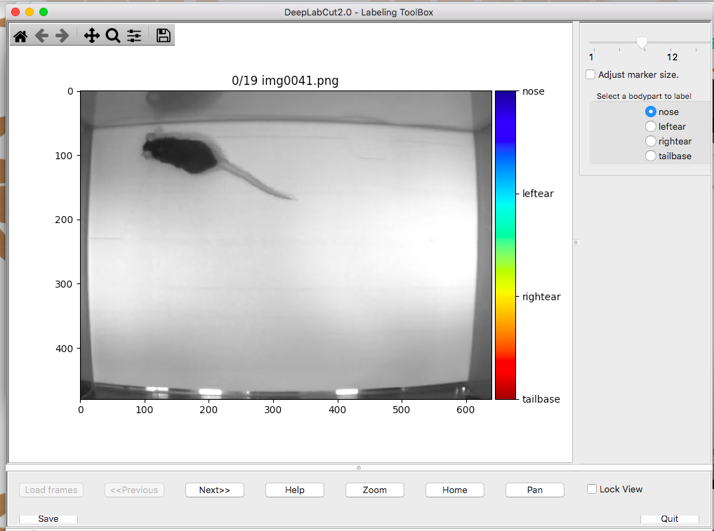 Unable to place markers on frames - Usage & Issues - Image.sc Forum