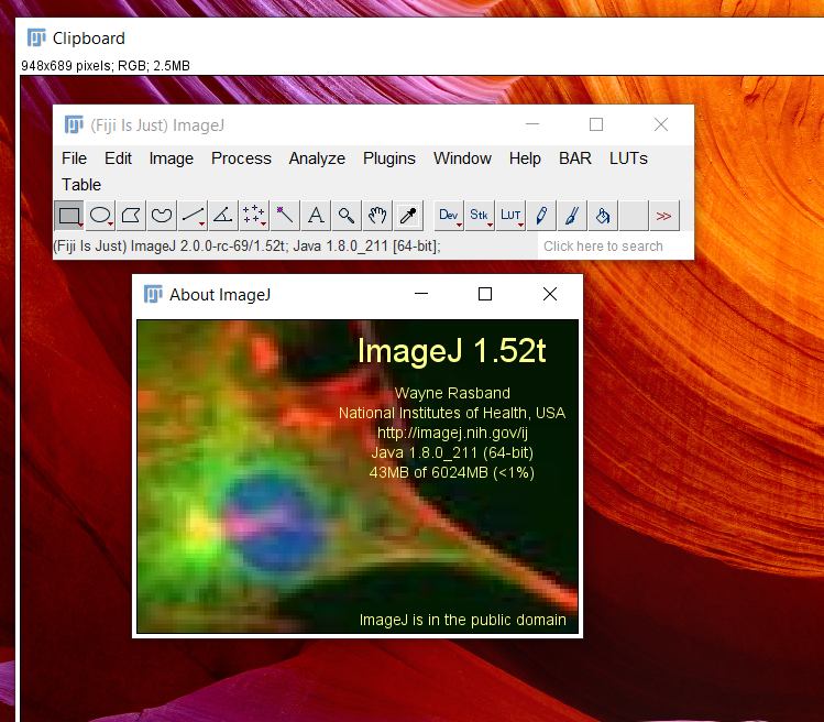 Cannot copy images from clipboard to ImageJ 1.52t - Usage & Issues ...