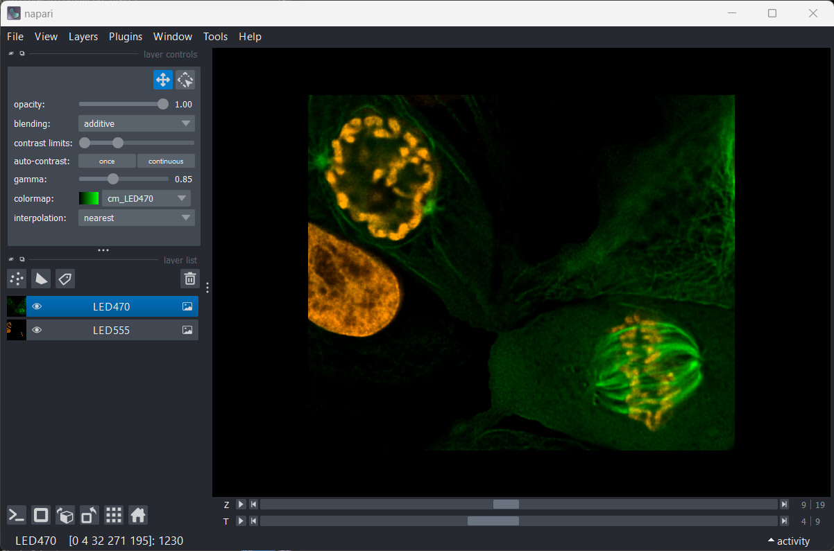 File Open vs. Open Sample using my own napari plugin - Usage & Issues - Image.sc Forum