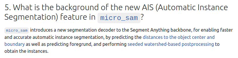 Micro-sam Custom fine-tuning: "Additional Segmentation Decoder" - Usage ...