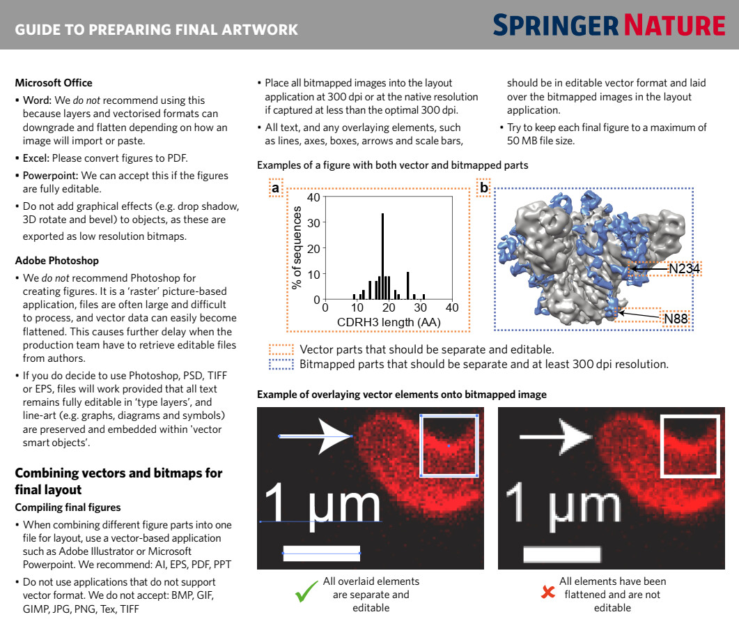 Exporting Images With Scale Bars As Vector Graphics From Fiji To Illustrator Usage And Issues