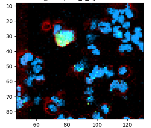 CellProfiler: Problems with ExportDataToSpreadsheet - Image Analysis - Image.sc Forum