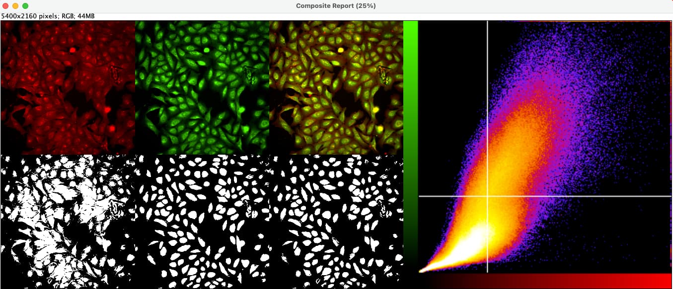 Colocalisation scatter plots in Cellprofiler - help! - Image Analysis - Image.sc Forum