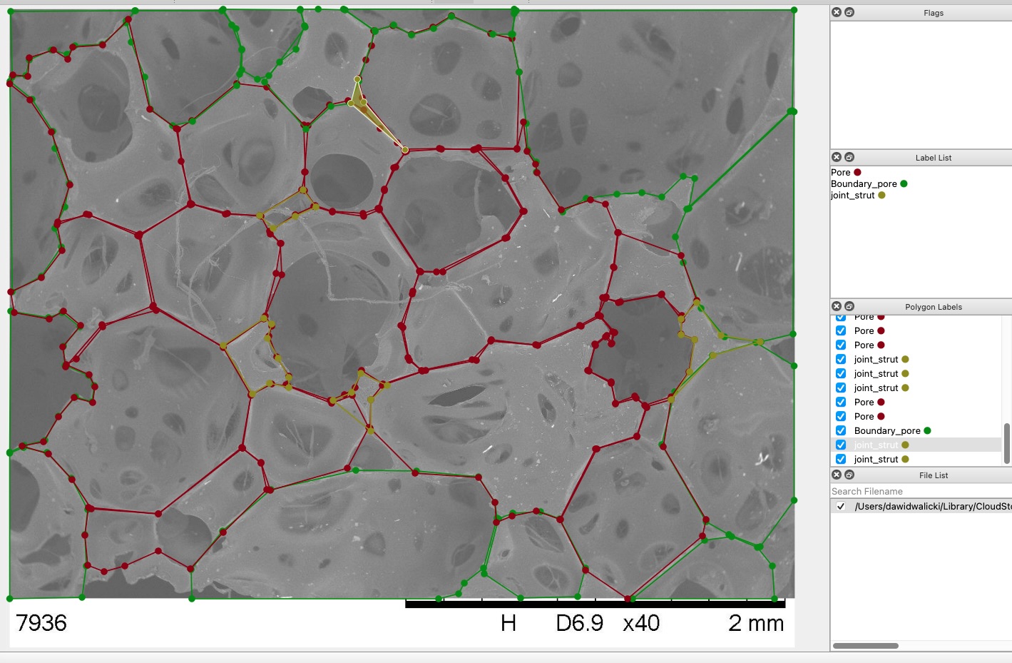 Pores detection on polymer foam SEM microstructure images - Image Analysis - Image.sc Forum