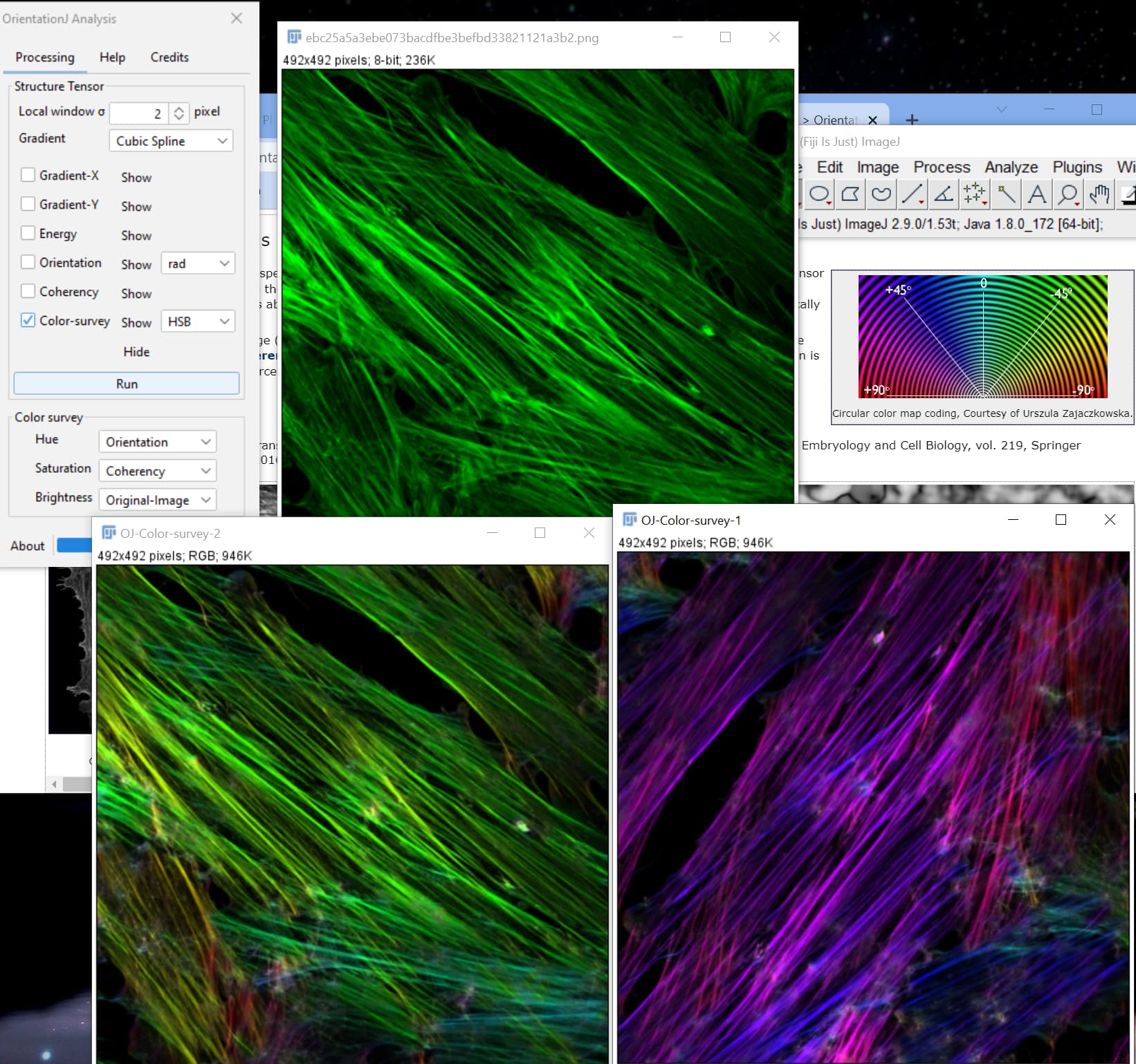 Directionality plugin orientation map image question - Image Analysis ...