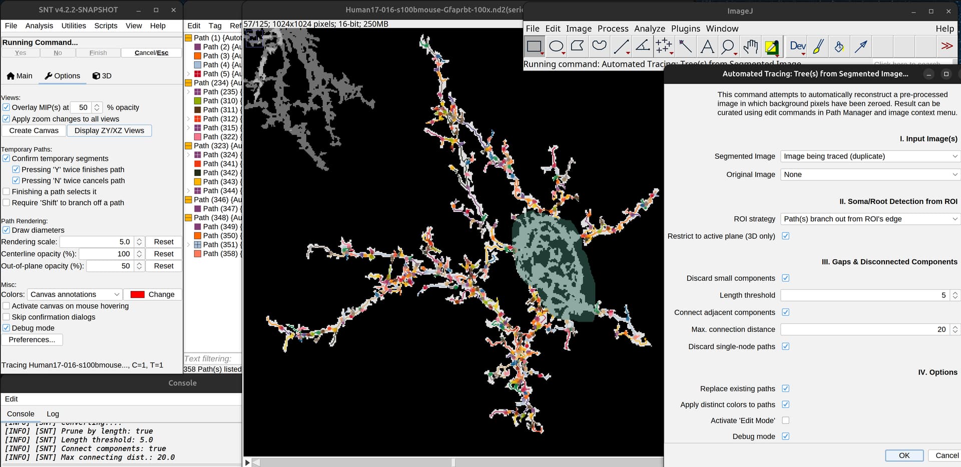 How to run SNT v4.3.0 for auto-tracing with soma detection - Usage & Issues - Image.sc Forum