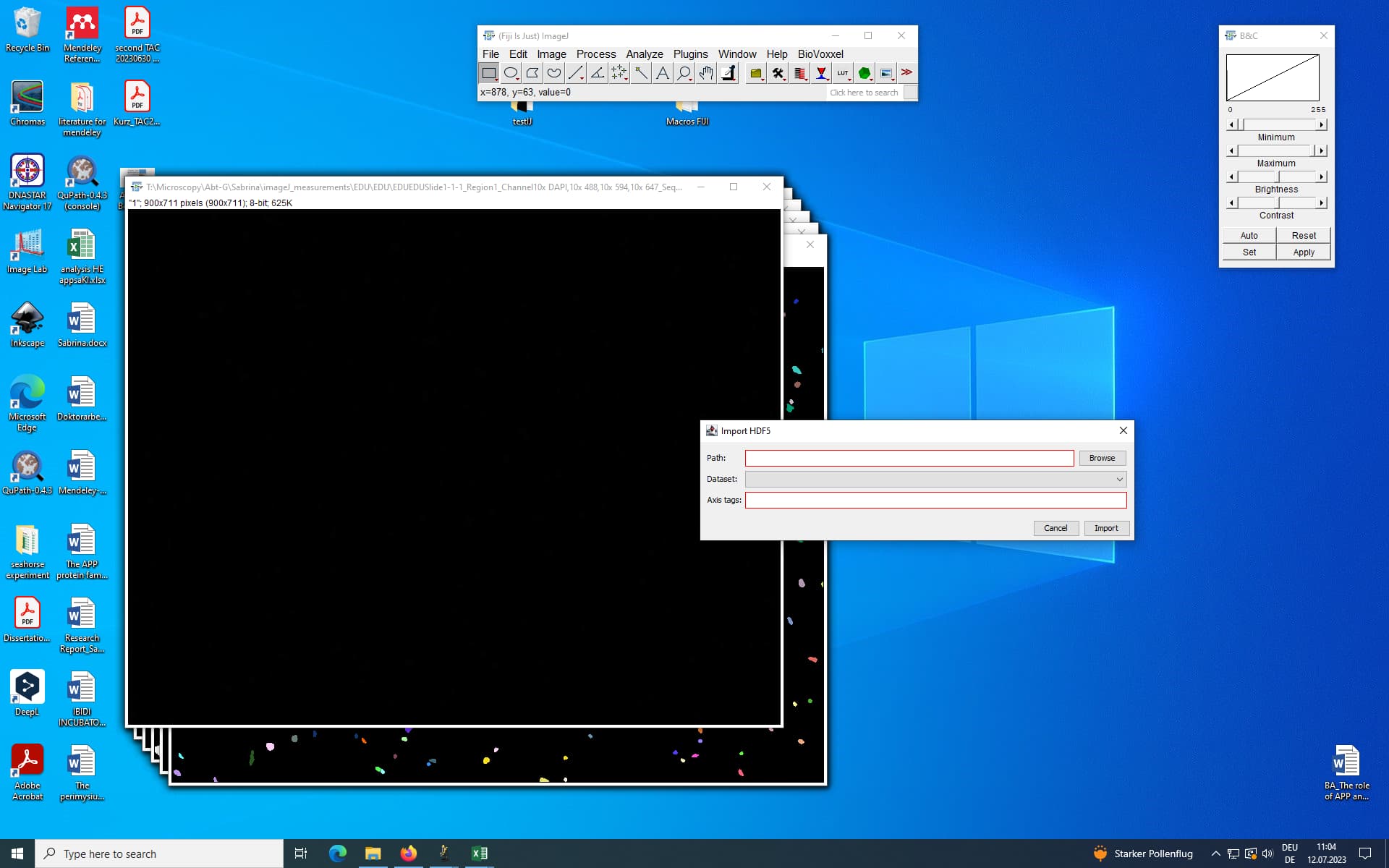 Is there a way to open a complete folder with .h5 images at once? - Usage & Issues - Image.sc Forum