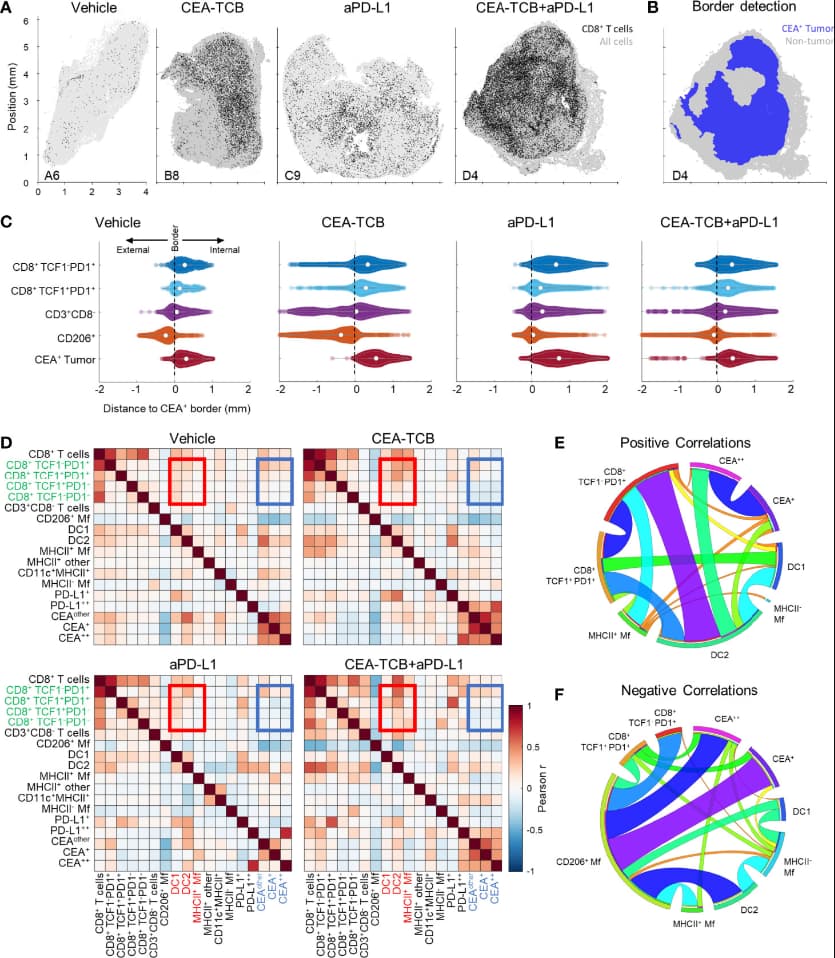 CytoMAP: pseudo-space analysis and interaction map - Image Analysis - Image.sc Forum