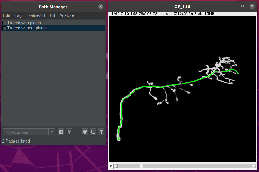 Minimal autoTrace code for SNT (Java) - Development - Image.sc Forum