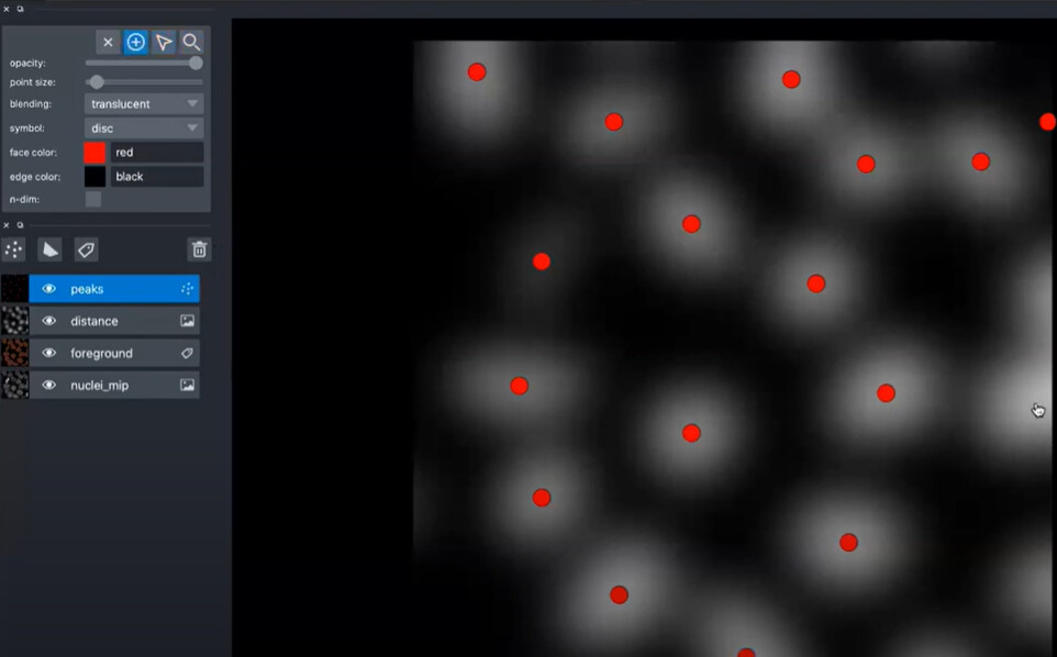 Peak local max labelling error - Image Analysis - Image.sc Forum