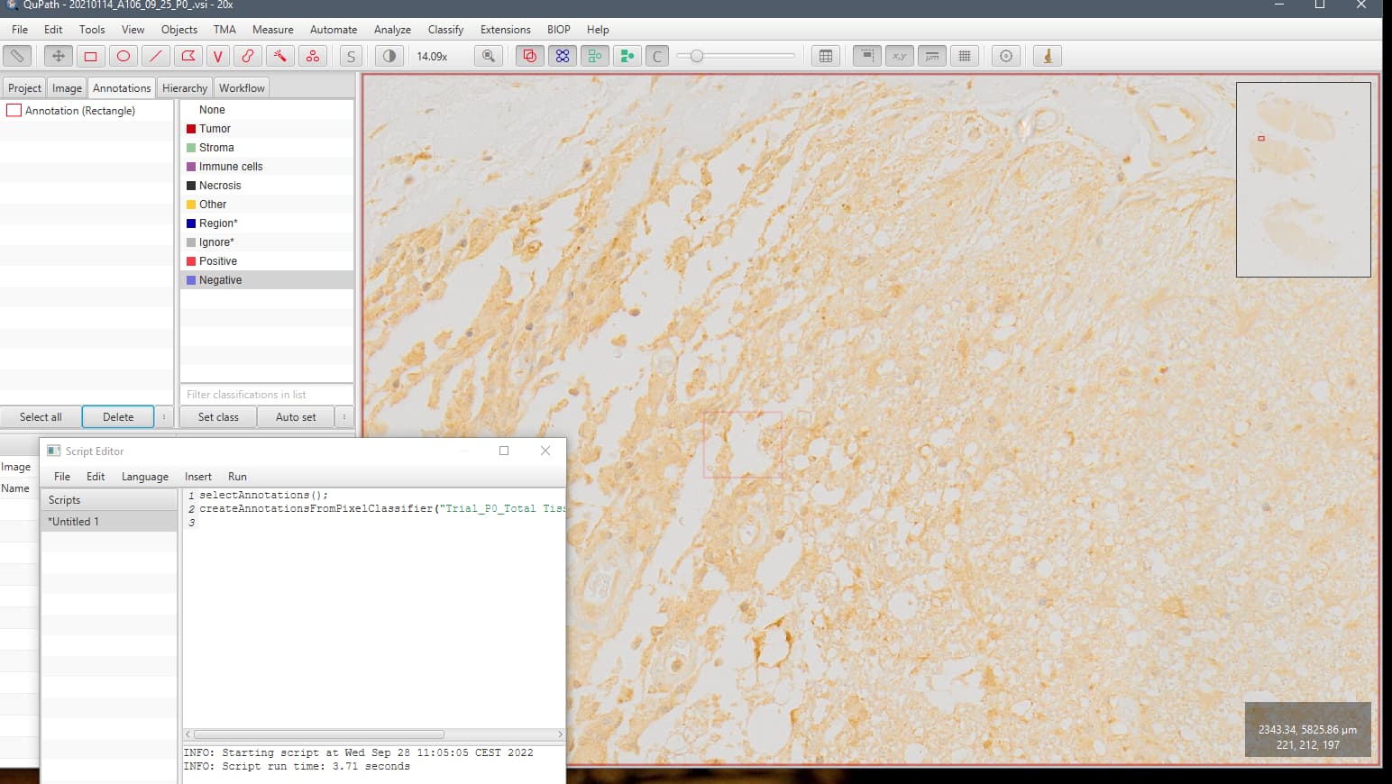 Classification for a single annotation works with run but not with run for project - Usage ...