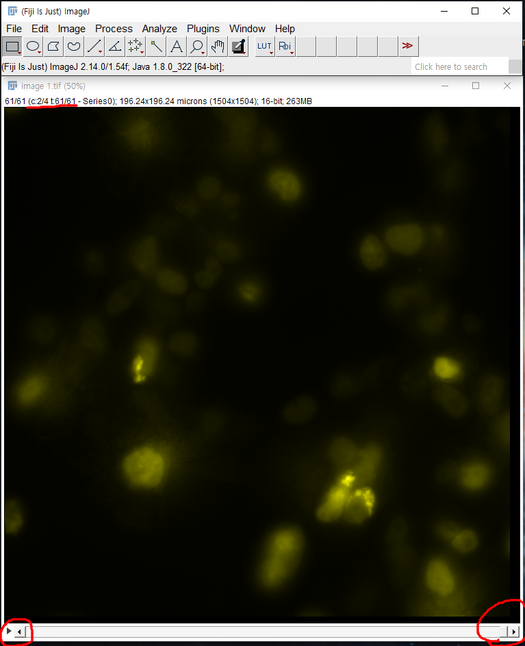 Fiji plugin BaSiC "input must be an image stack not a single image" error - Usage & Issues ...